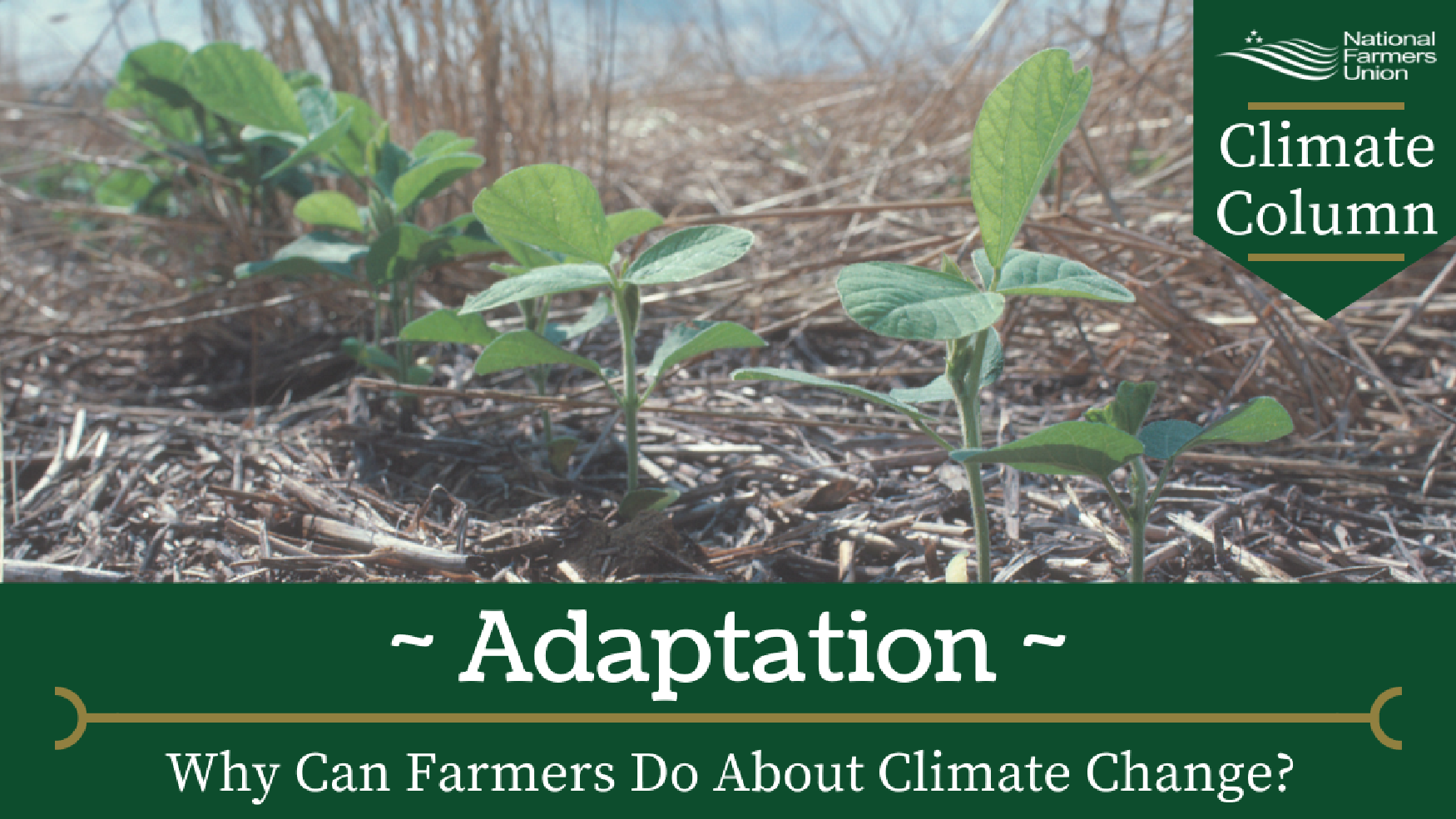 What Can Farmers Do About Climate Change? Adaptation | Missouri Farmers ...